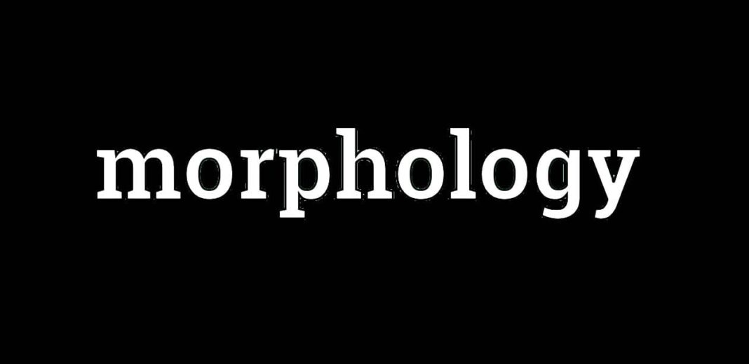 Morphology | Meaning | Definition - Menonimus