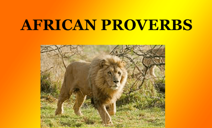 African Proverbs - Menonimus