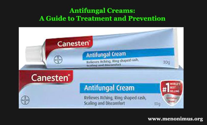 Antifungal Creams: A Guide To Treatment And Prevention - Menonimus