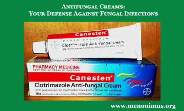 Antifungal Creams: Your Defense Against Fungal Infections - Menonimus