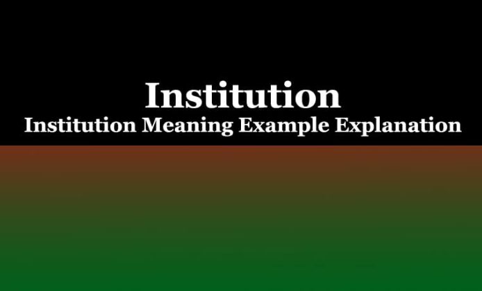 Institution | Institution Meaning Example Explanation - Menonimus