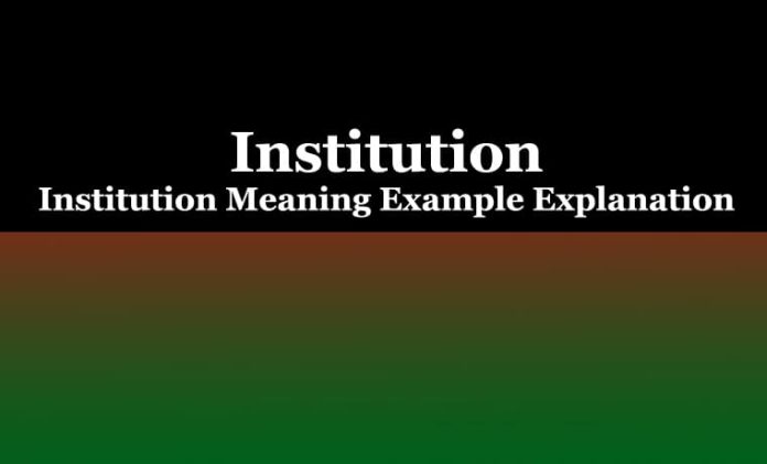 Institution | Institution Meaning Example Explanation - Menonimus
