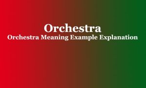 Orchestra | Orchestra Meaning Example Explanation - Menonimus