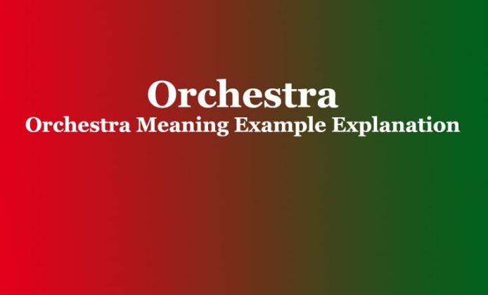 Orchestra | Orchestra Meaning Example Explanation - Menonimus