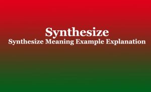 Synthesize | Synthesize Meaning Example Explanation - Menonimus