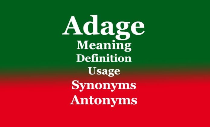 Adage - Menonimus